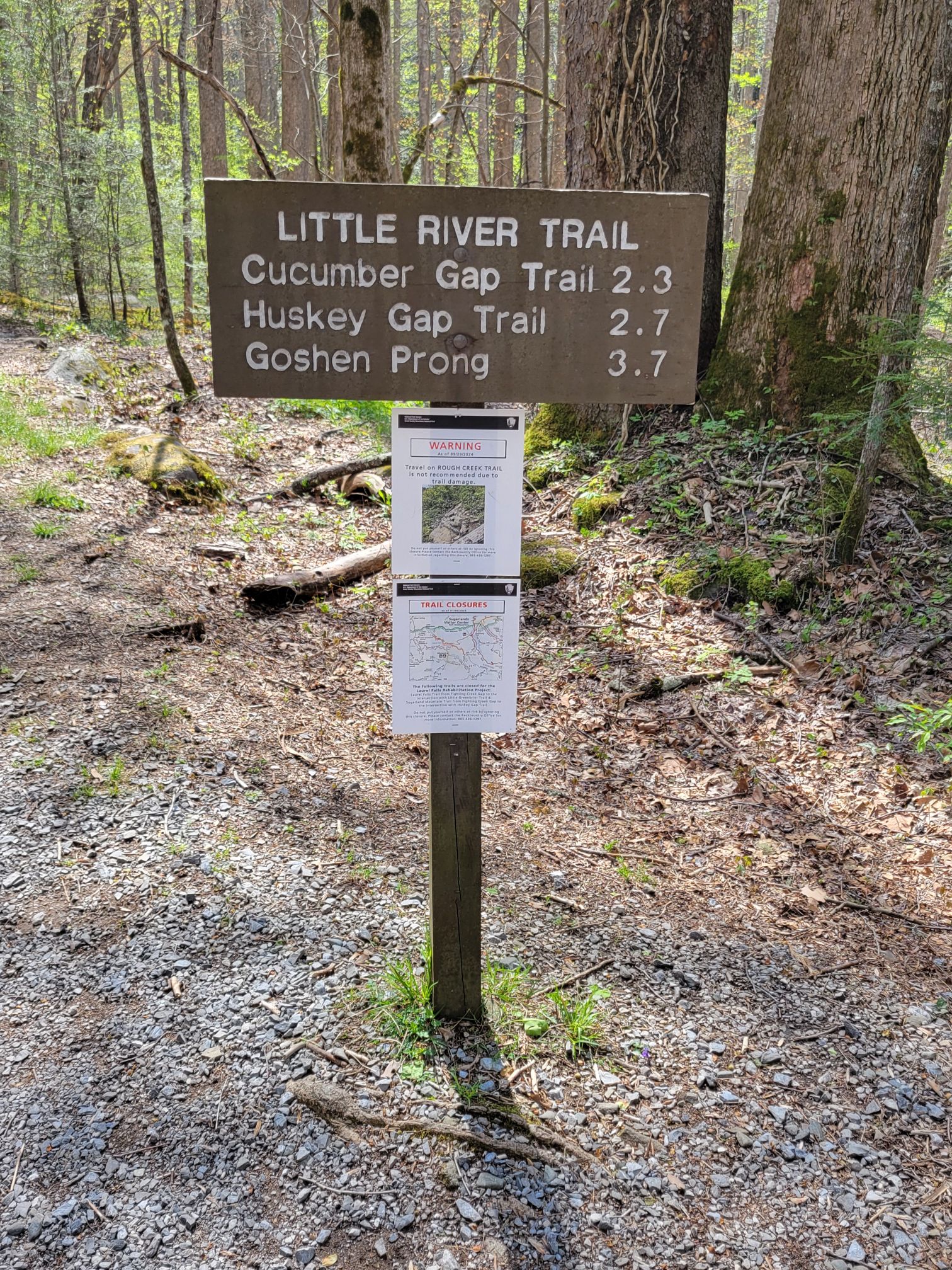 Little River Trail and Kuwohi – Meanderings & Mind Munchies